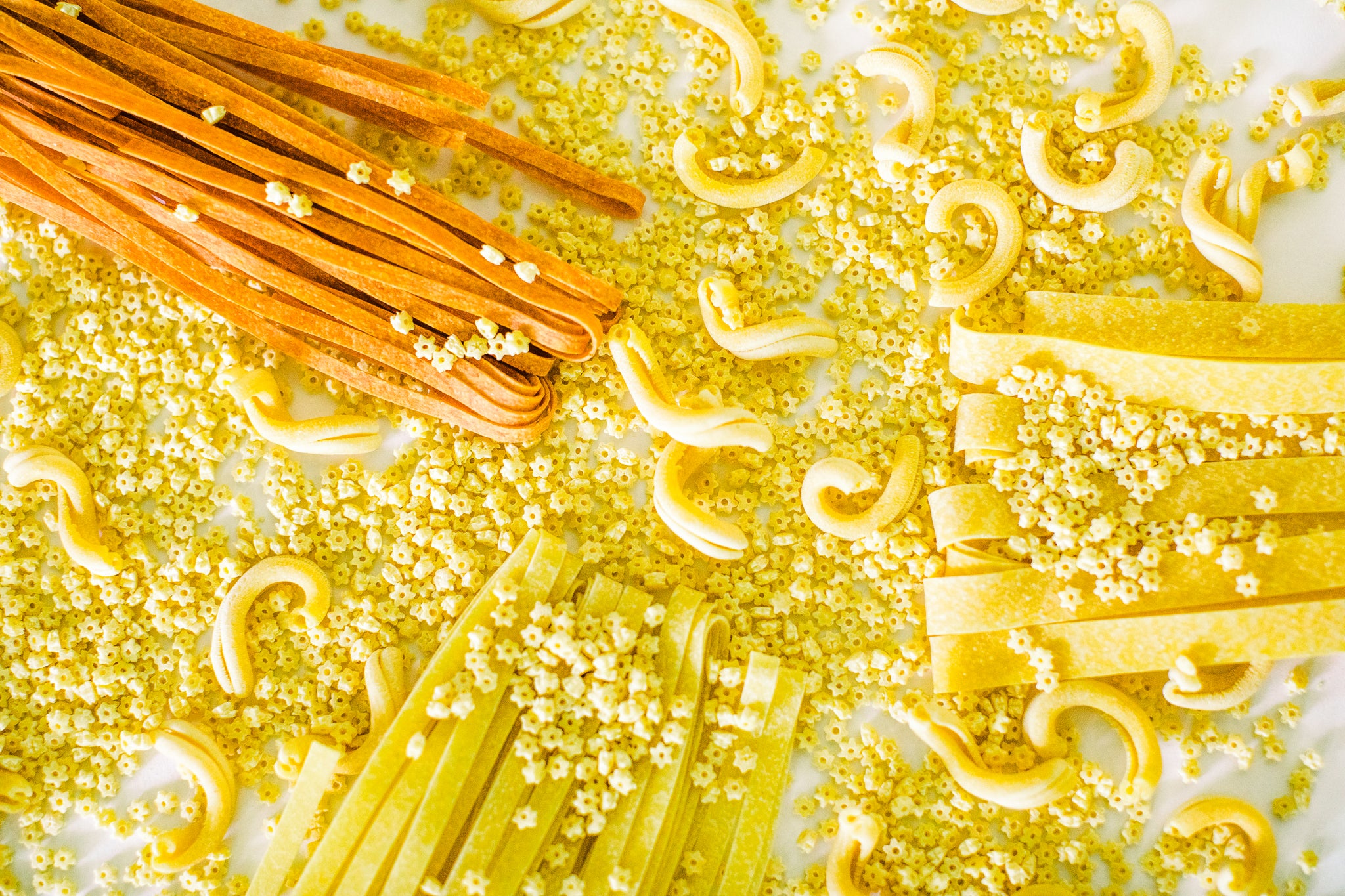 Egg Pasta | Zia Pia